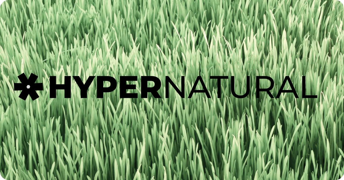 Hypernatural | AI video ads